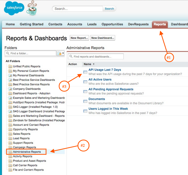 View Salesforce API limits